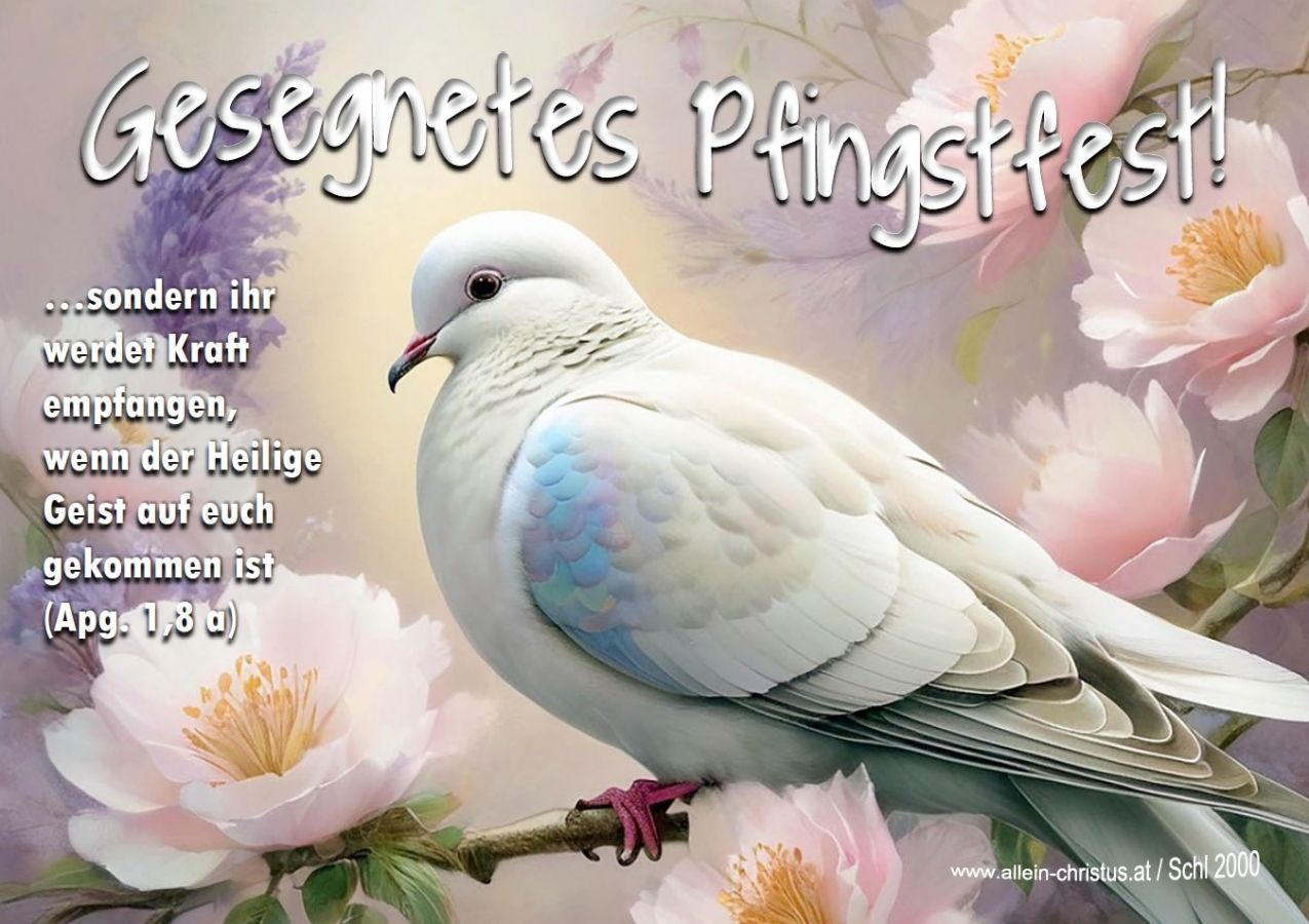 ecards-allein-christus – Ecards Pfingsten